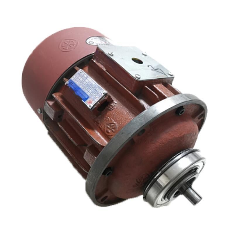 1T Electric Hoist Motor Cone Rotor Three Phase Asynchronous; ECVV SA ...